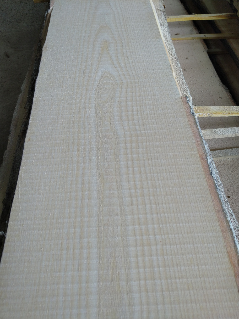 Poljski jasen - Wood.hr